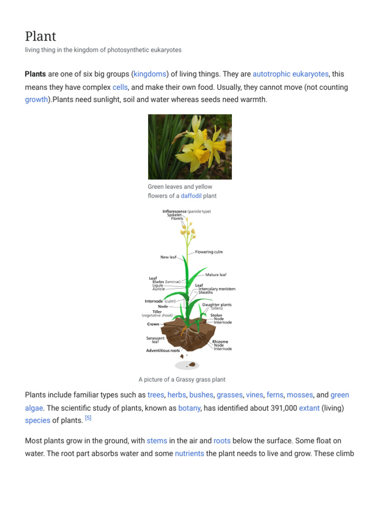 Plant - Simple English Wikipedia, The Free Encyclopedia | PDF | Plant ...
