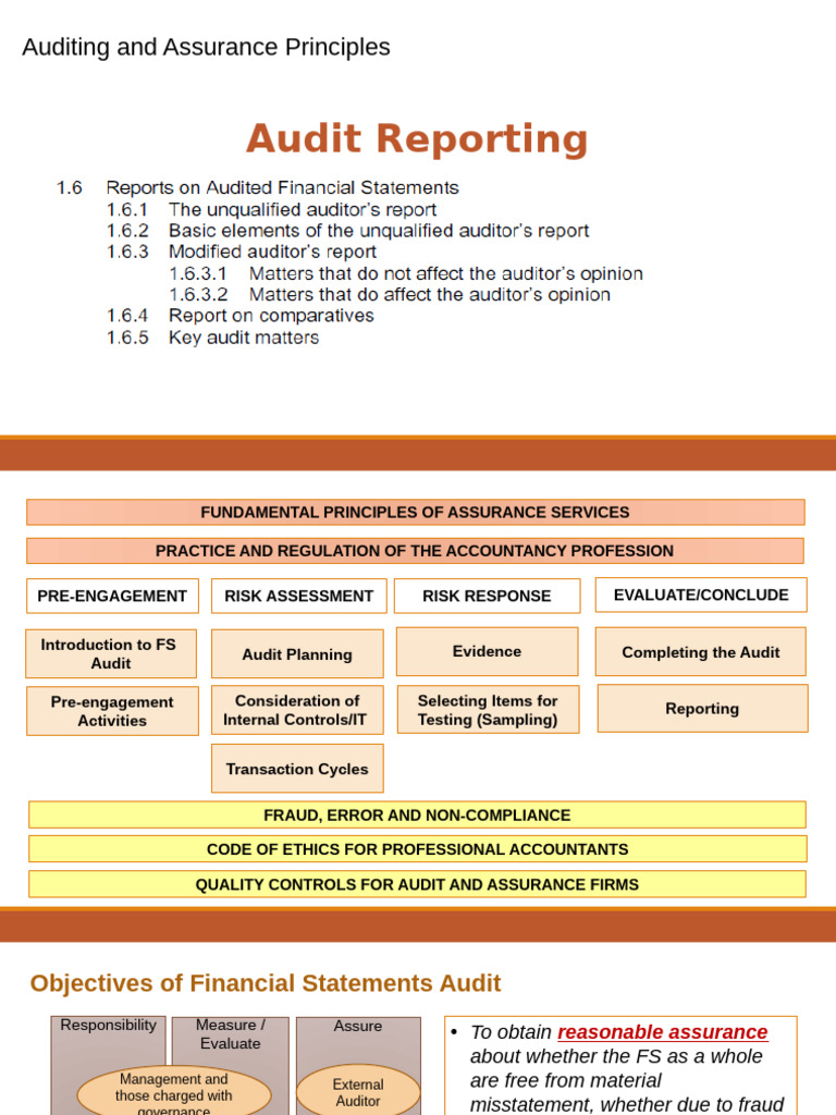 AAP7 - Audit Reporting | PDF | Auditor's Report | Audit