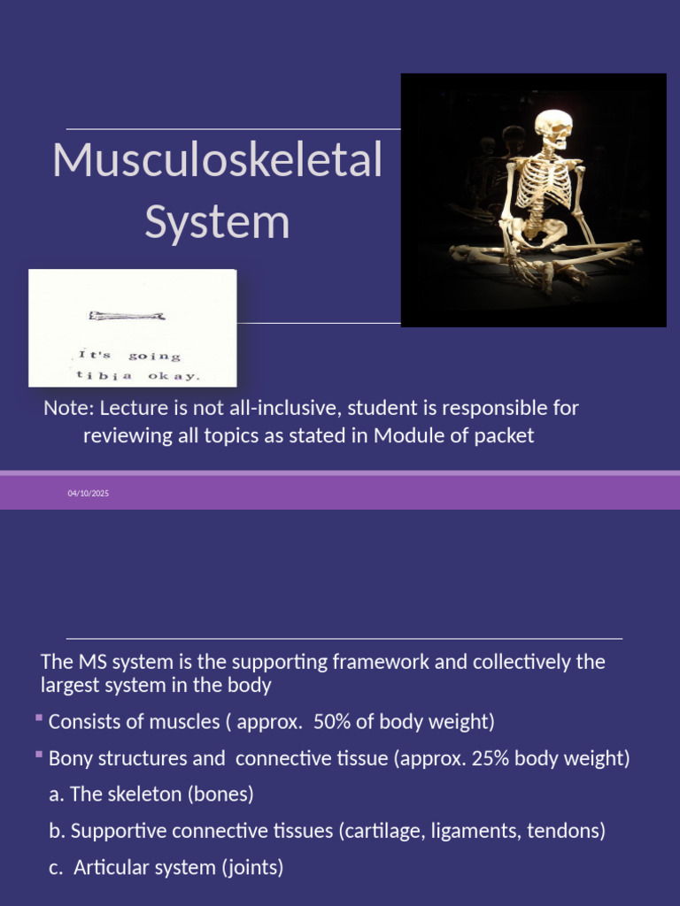 Musculoskeletal System Overview and Care | PDF | Bone | Osteoporosis