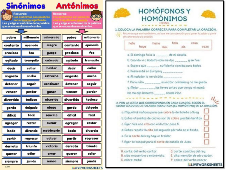 FICHAS DE HOMÓNIMO, SINÓNIMOS Y ANTÓNIMOS (1) | PDF