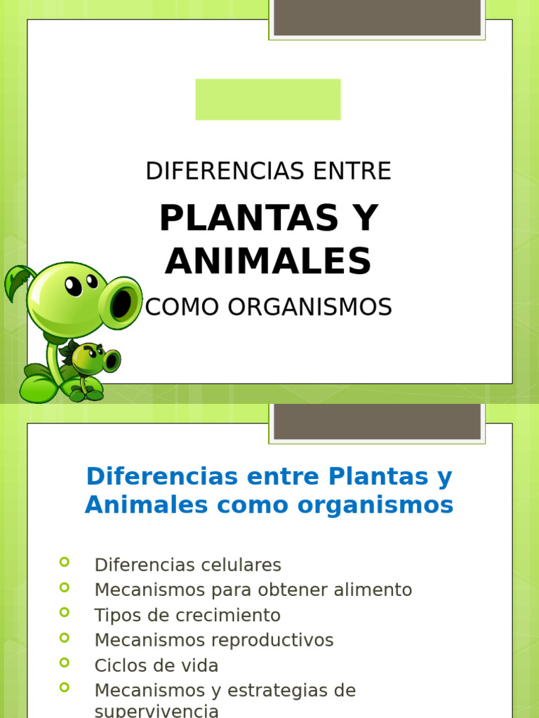 Unidad II Diferencias Entre Plantas y Animales | PDF | Hoja | Plantas