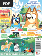 Bluey Flextangle Accessible | PDF