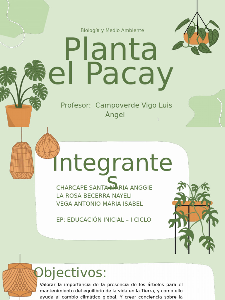 Planta El Pacay | PDF | Fertilizante | Suelo