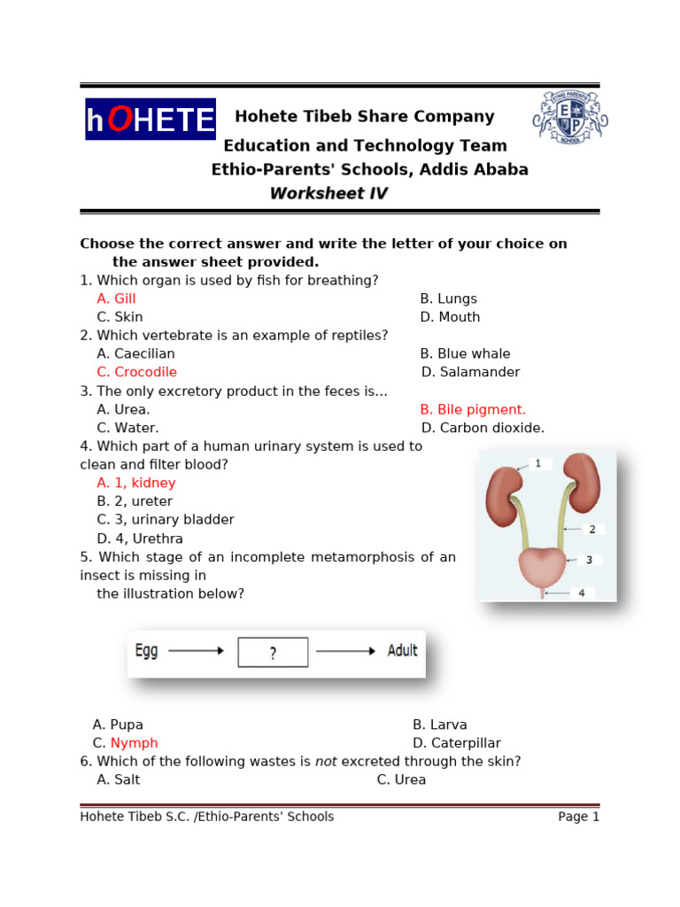 Grade 5 Worksheet IV Ans. KEY | PDF | Planets | Moon