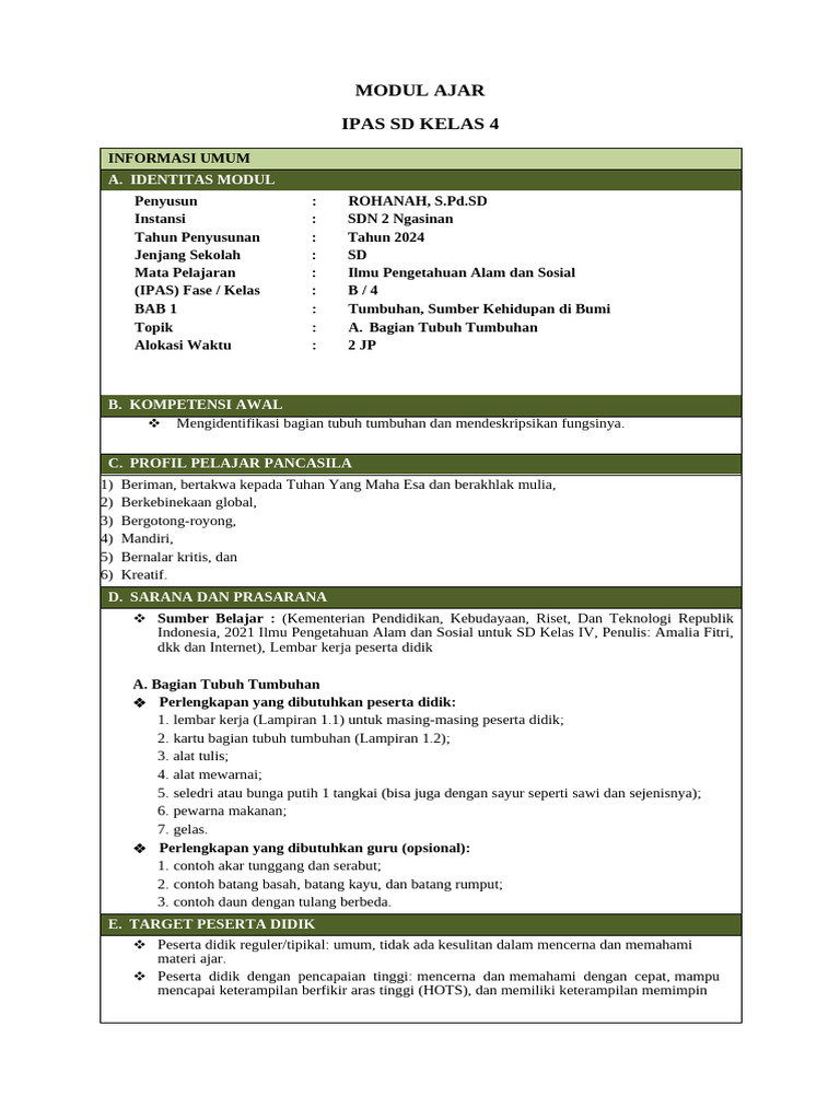 Modul Ajar IPAS PMM ROHANAH | PDF