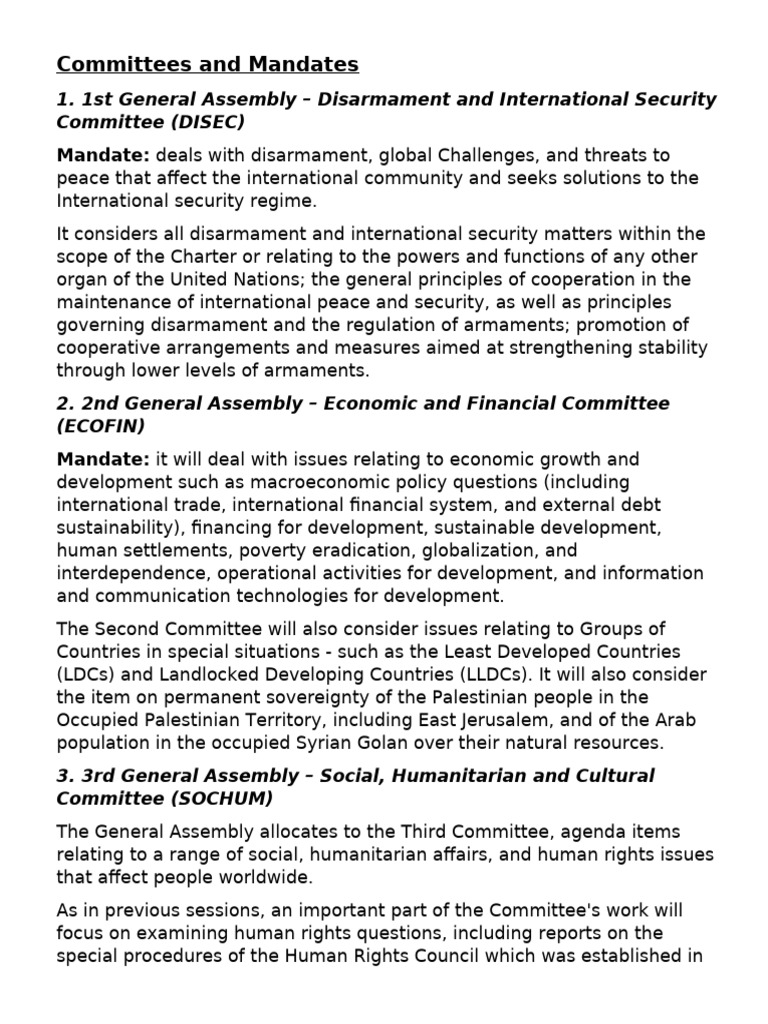 UN Committees and Their Mandates Overview | PDF