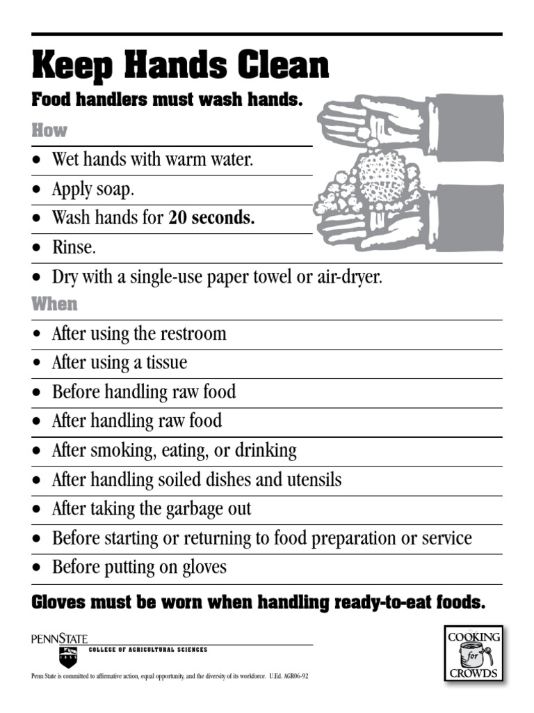 Essential Handwashing for Food Safety | PDF