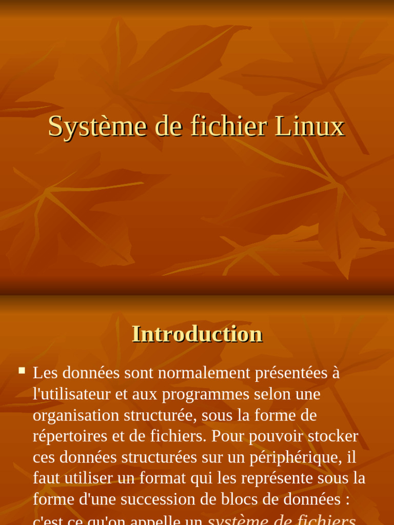 Chap3. Système de Fichier Linux | PDF | Système de fichiers | Fichier ...