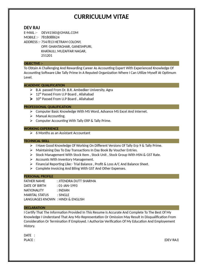 Editable Resume | PDF