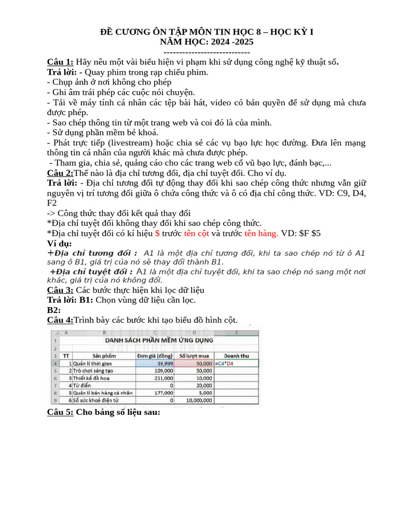 De Thi Hs Thcs 2024-2025 | PDF