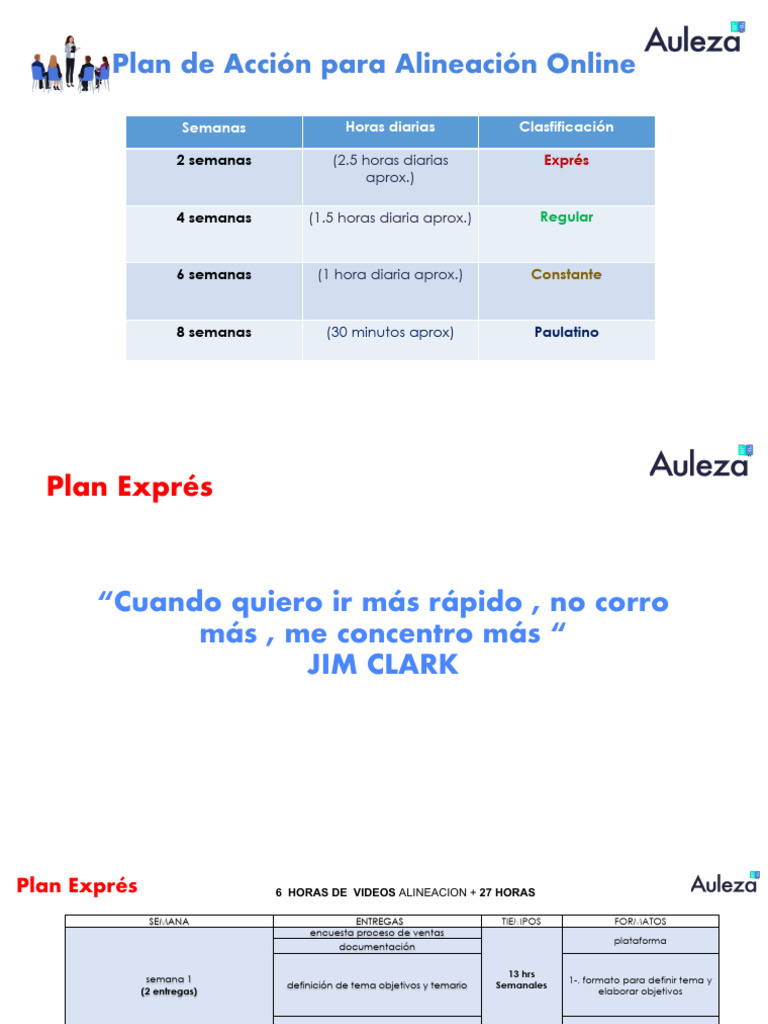 Planes de Accion Plataforma | PDF | Evaluación
