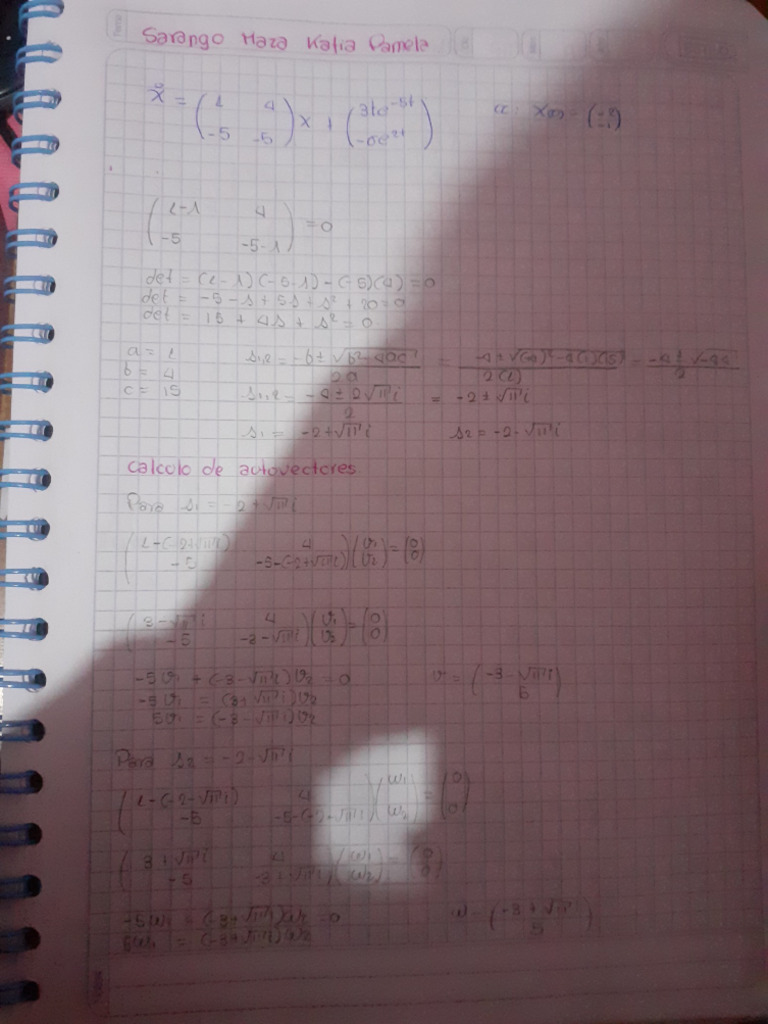 sarango katia examen recuperación edo | PDF