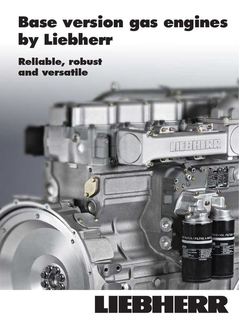 Liebherr Gas Engines: Overview & Maintenance | PDF | Engines | Biogas