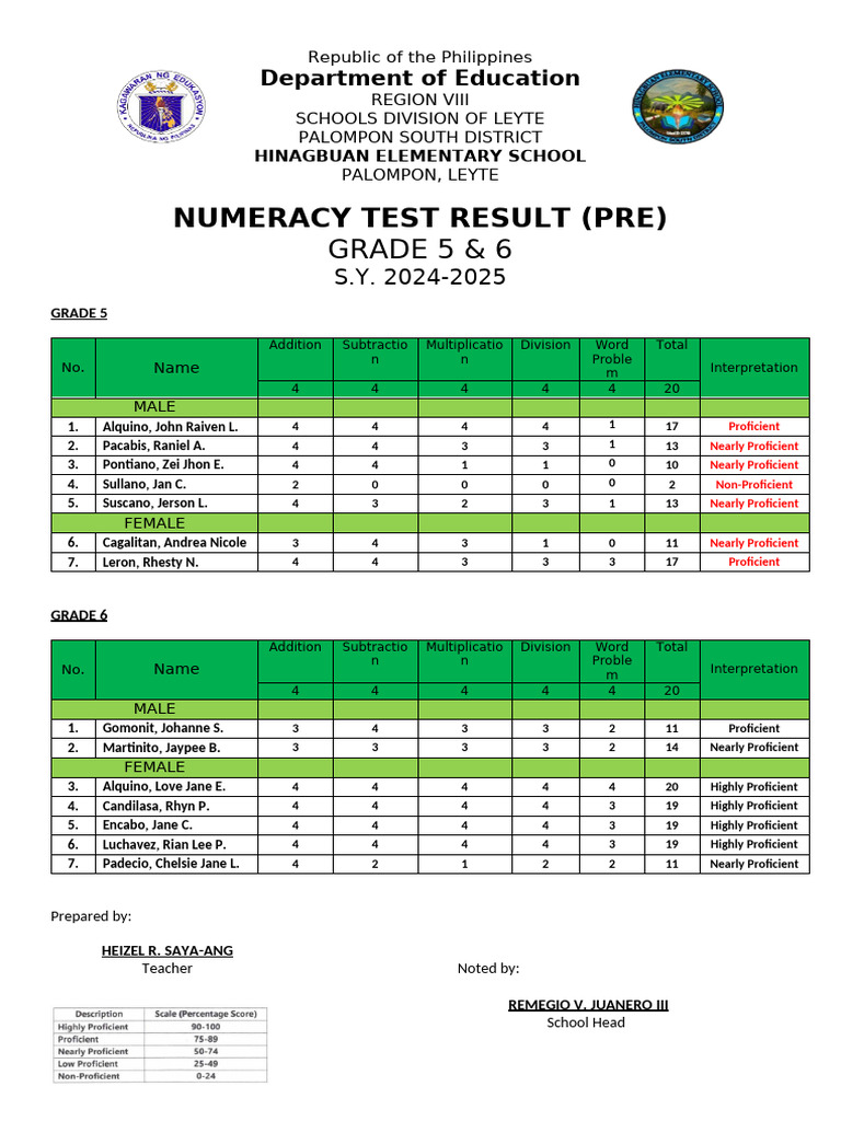 Numeracy Test Results Grade 5 6 SY 2024 2025 | PDF