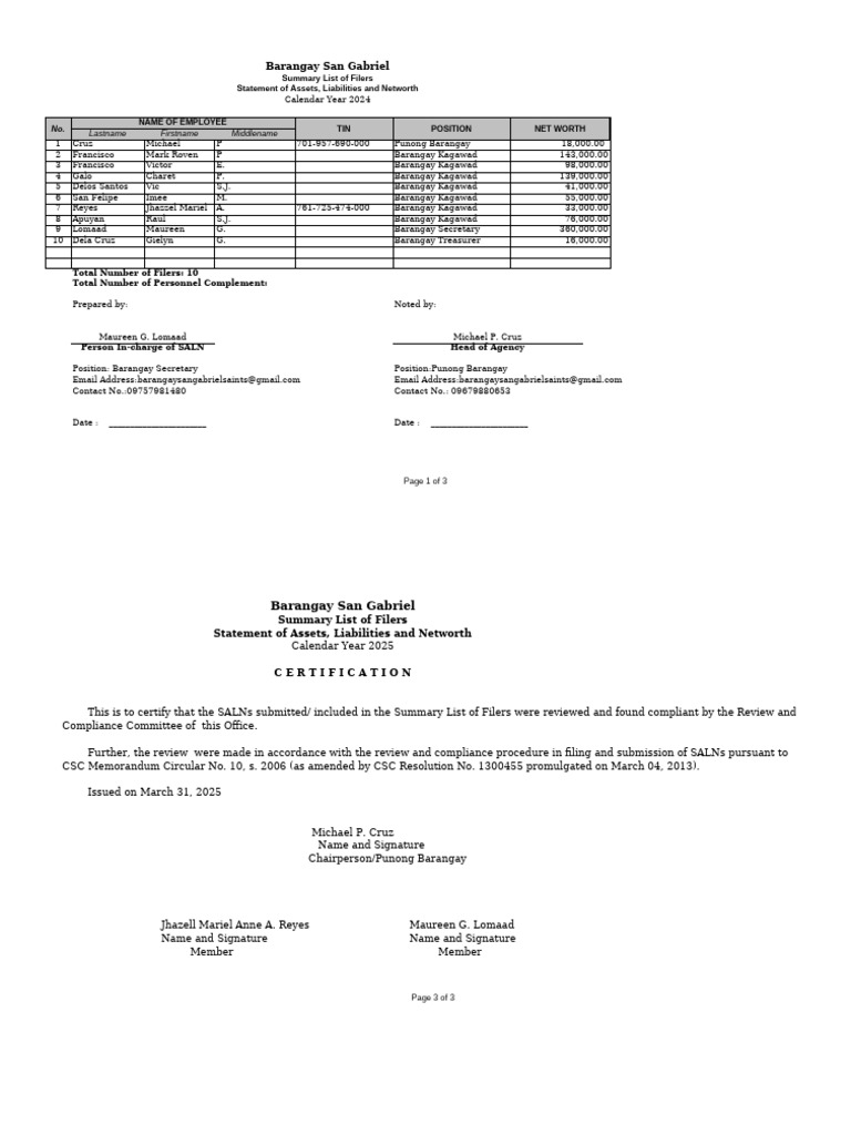 SALN Filers Summary 2024-2025 | PDF | Balance Sheet