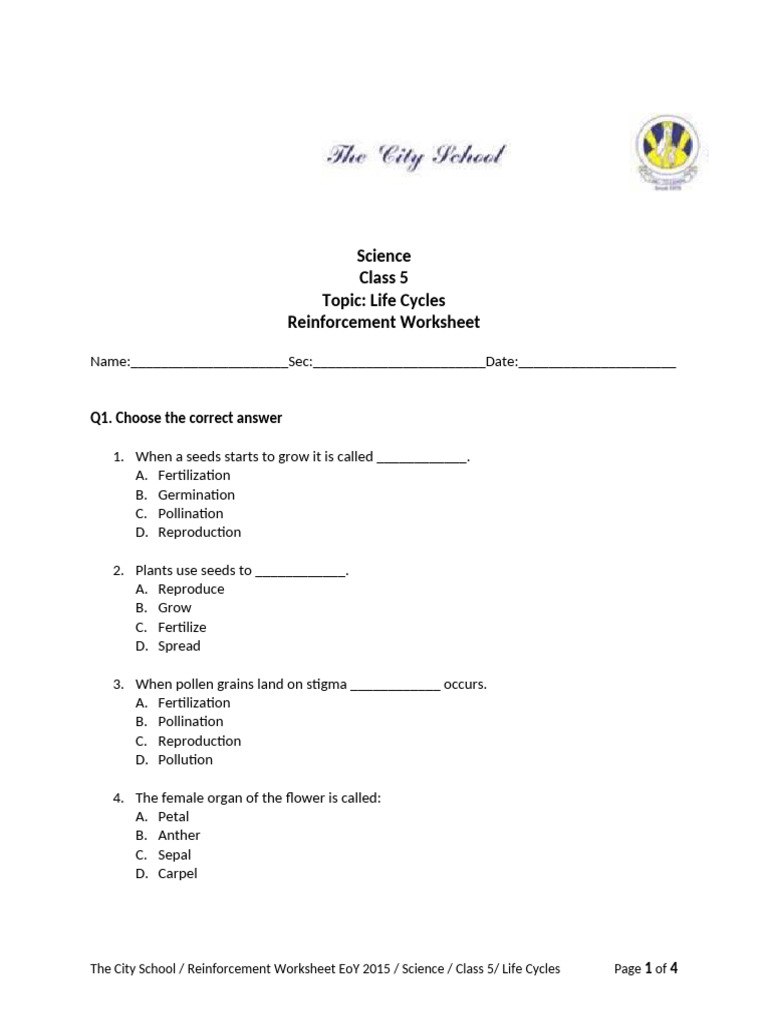 Class 5 Plant Life Cycles Worksheet | PDF | Flowers | Pollination