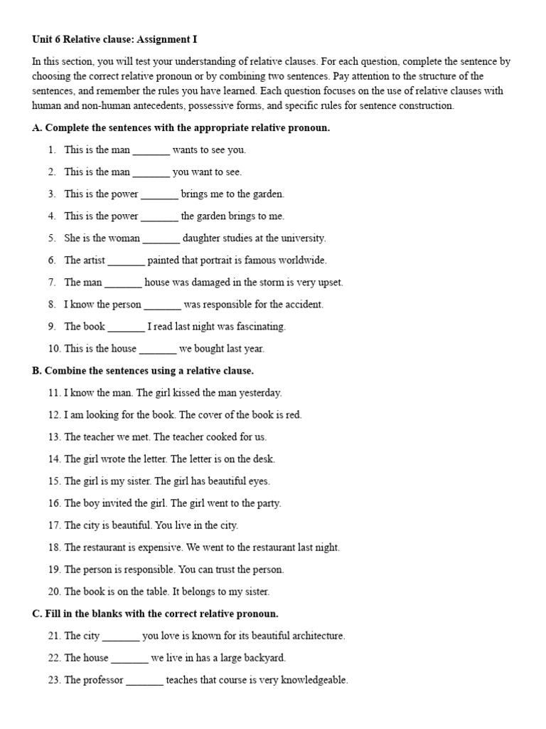 Unit 6 Relative clause_Assignment I (50 sentences) | PDF