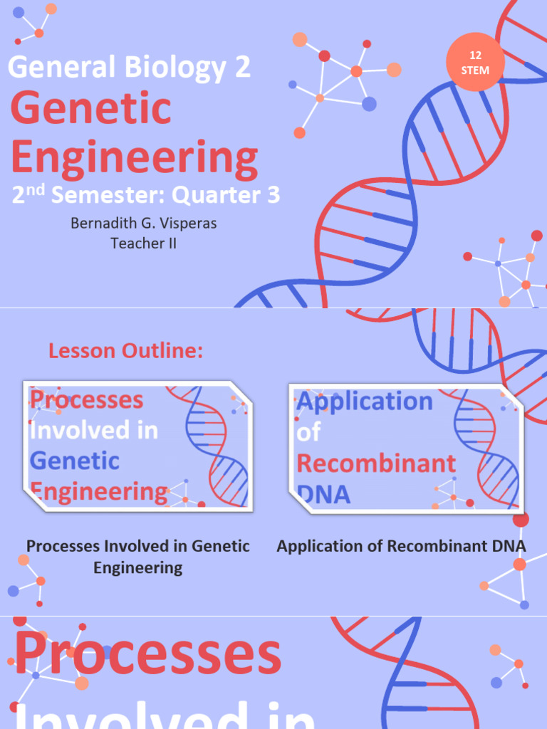 Lesson 2 Genetic Engineering | PDF | Molecular Cloning | Recombinant Dna