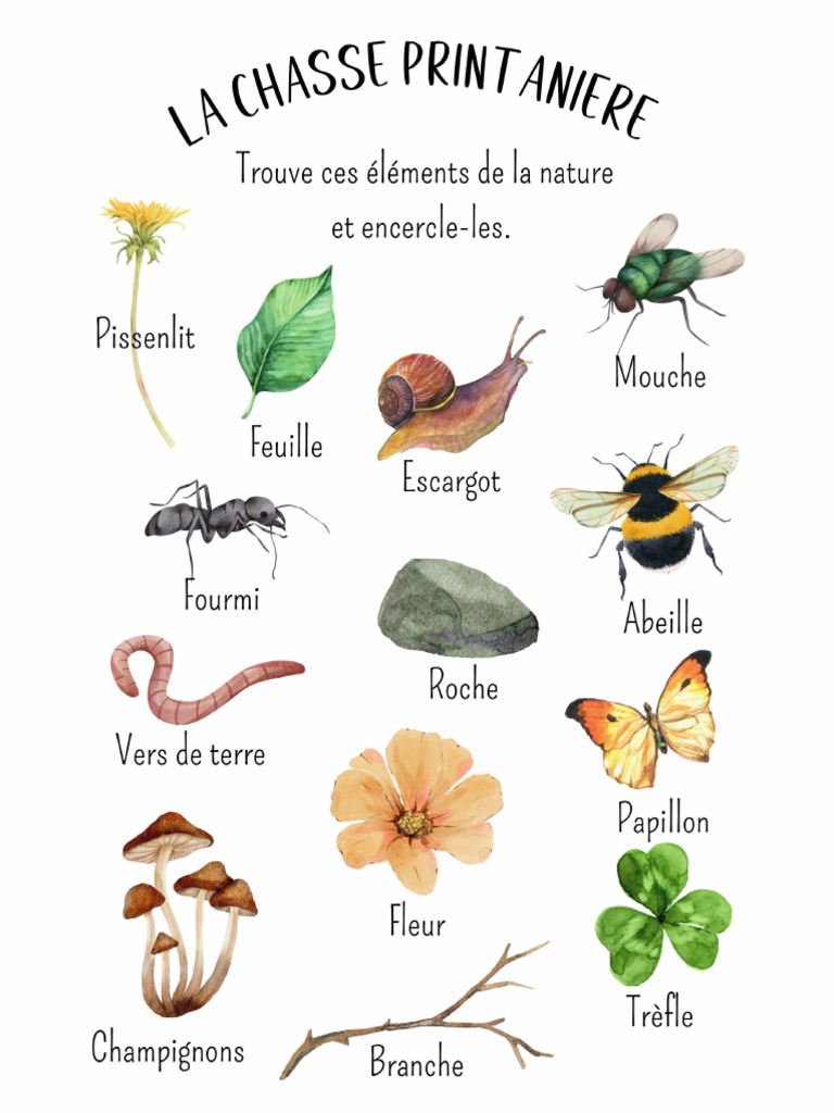 La Chasse Printaniere - Activite - Printemps | PDF