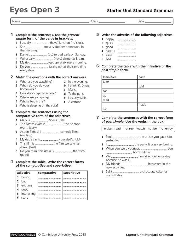 Starter Unit - Grammar Standard | PDF | Adjective | Semantic Units