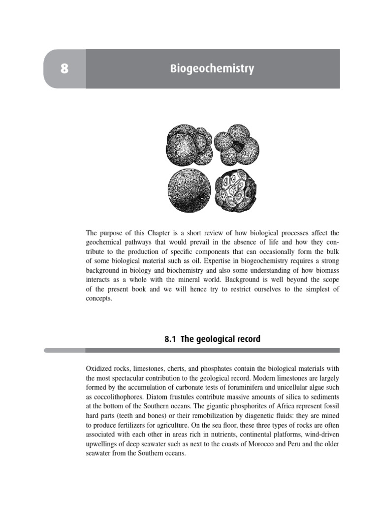 Biogeochemistry: Life's Impact on Geology | PDF | Cellular Respiration ...