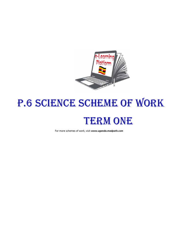 P.6 Science Term One Scheme of Work | PDF | Mammals | Bat