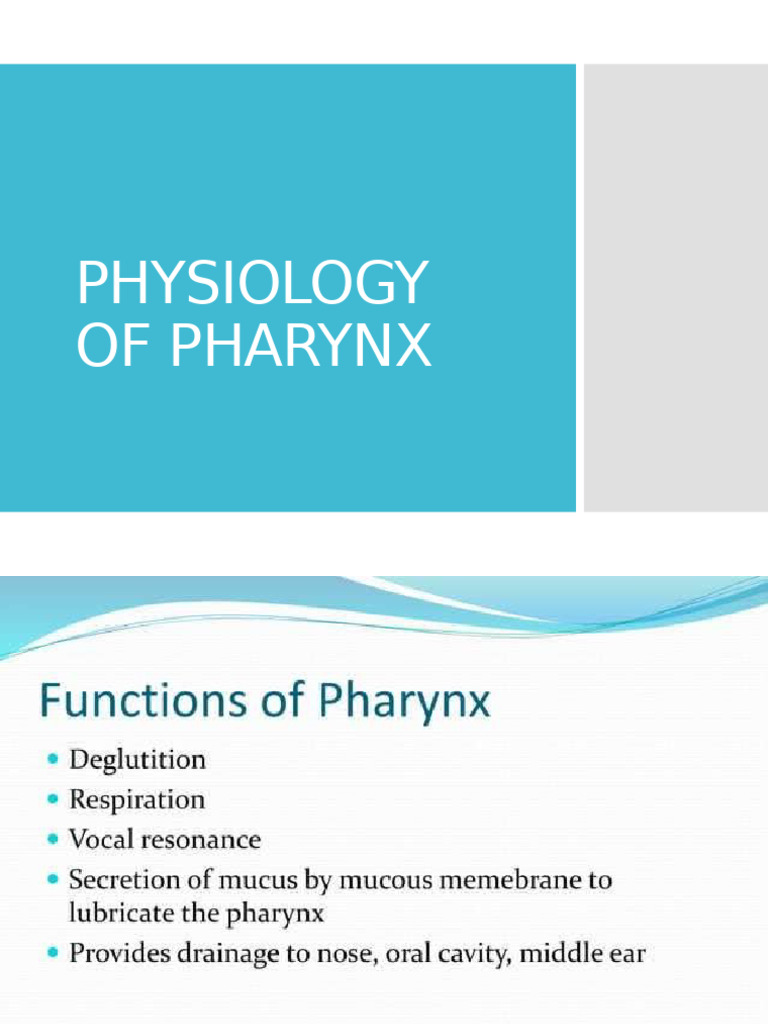 Physiology of pharynx@ENT | PDF