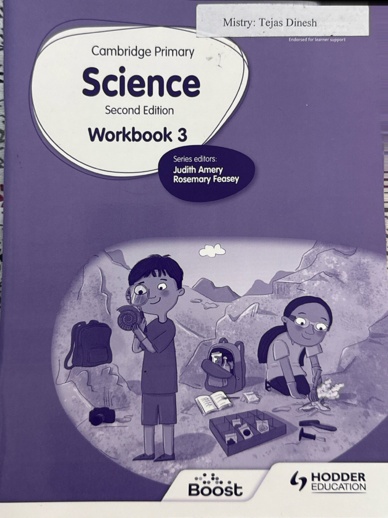 Science Workbook 3 | PDF