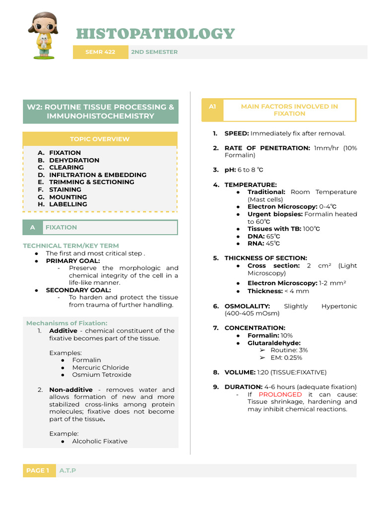 Histopath Tissue Processing | PDF | Immunohistochemistry | Histopathology