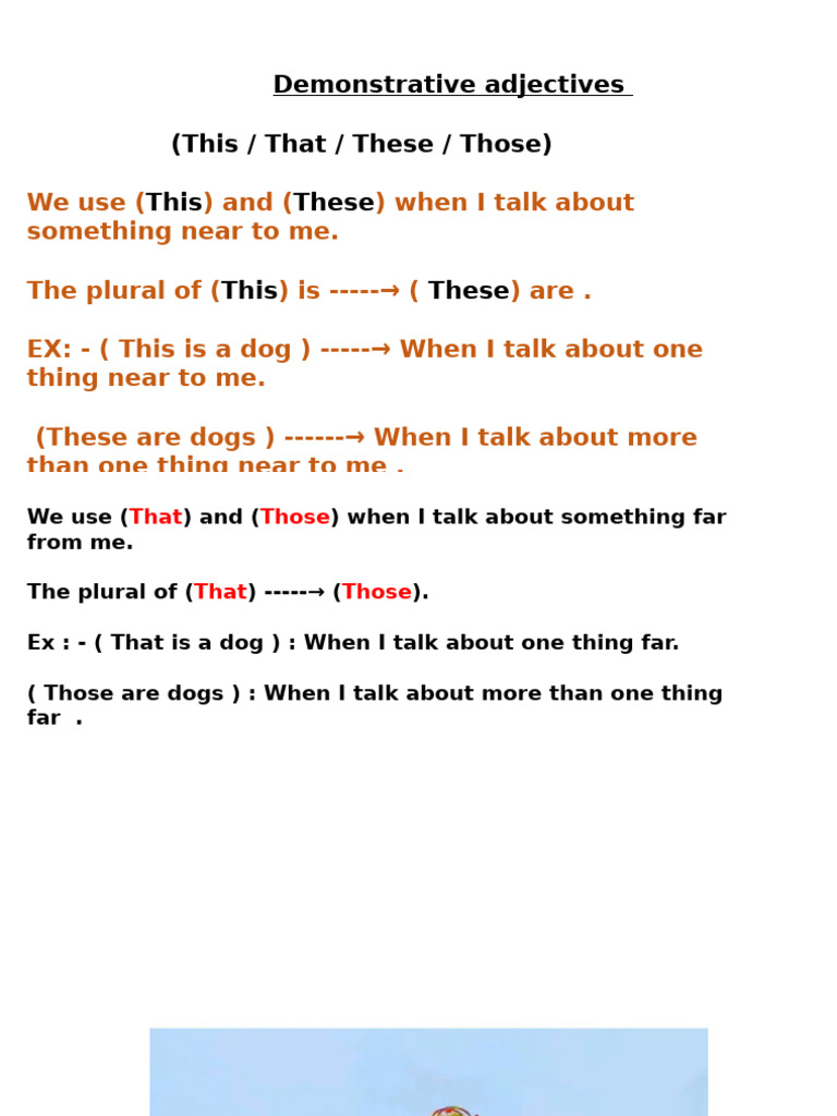 Demonstrative Adjectives | PDF