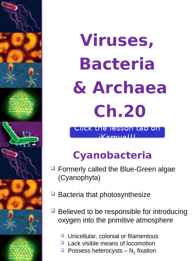 Lecture 14 Archaea - Intro To Protists | PDF | Cyanobacteria | Archaea