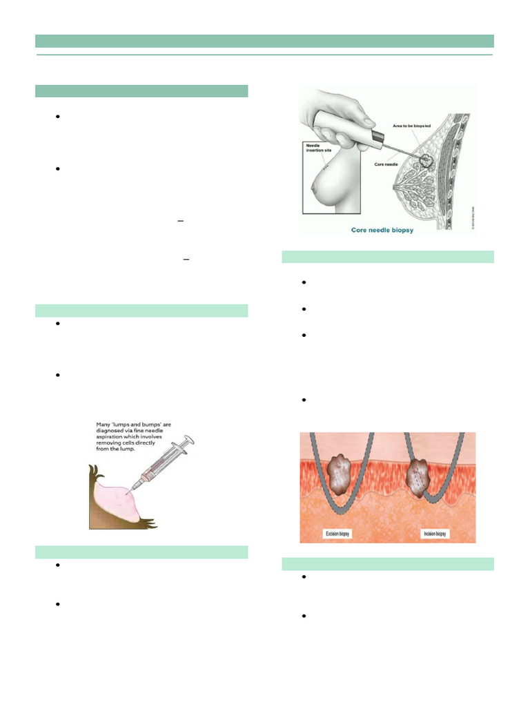 2 - Examination On Tissue Processing and Conventional Tissue Processing | PDF | Biopsy | Histology