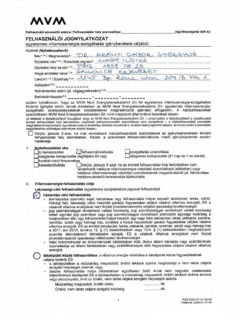 MVM Felh Nyilatkozat | PDF