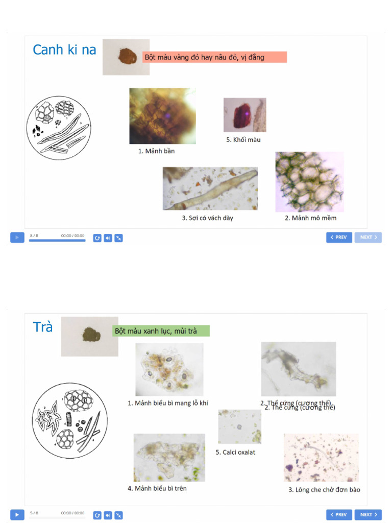 Soi B T Bu I 6 | PDF