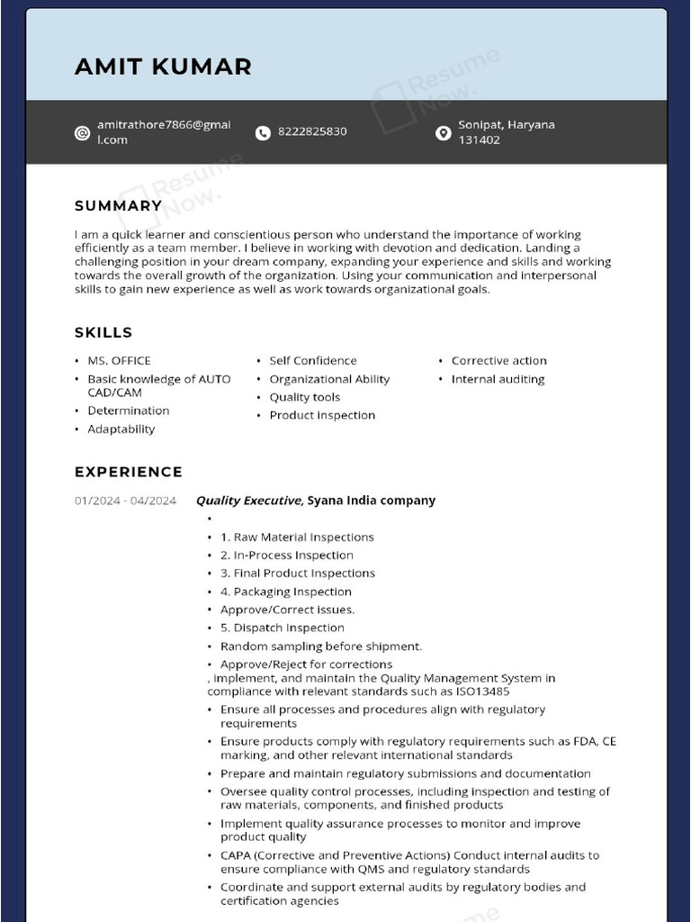 Amit CV (1) - 2 (1) - 2-1 | PDF