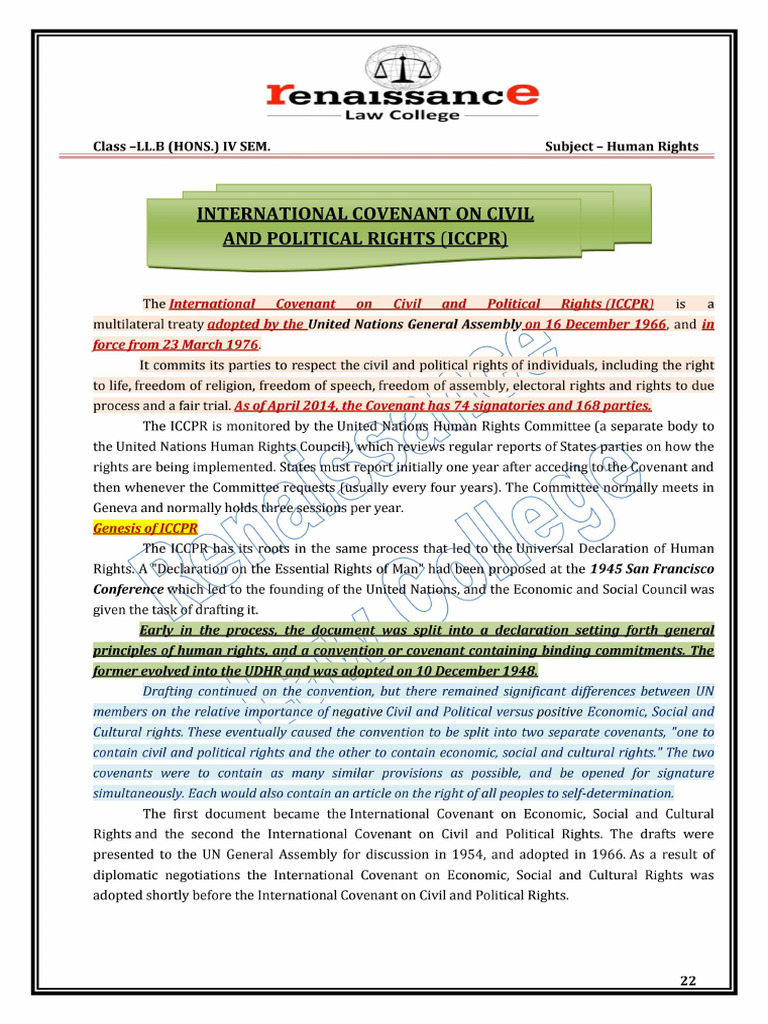 Human Rights Unit III | PDF
