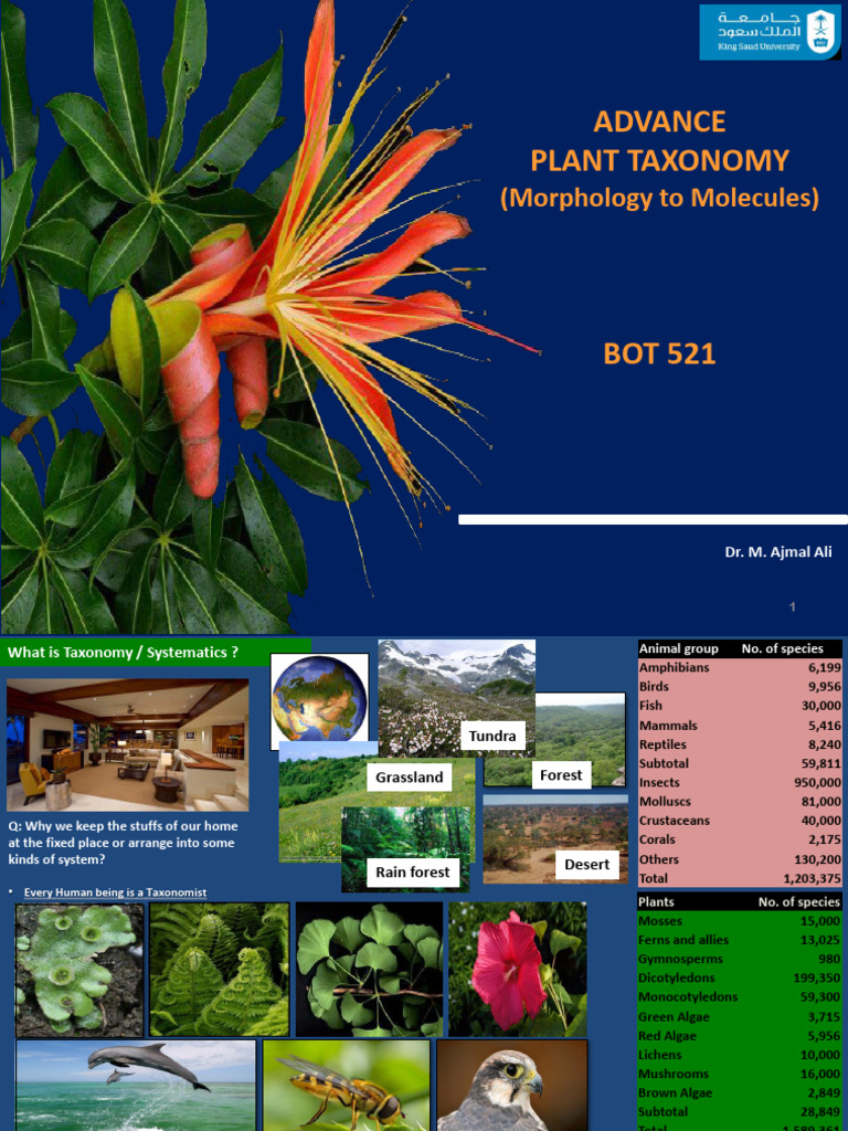 Bot521 Advance Plant Taxonomy DR Ali 8 Oct 2017 | PDF | Leaf | Taxonomy ...