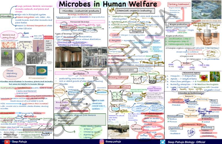 Microbes in Human Welfare Mind Map - Watermark | PDF | Microorganism | Bacteria