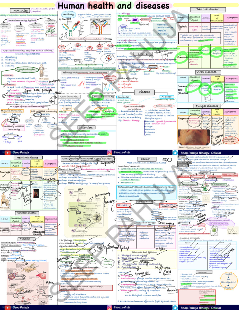 Human Health And Disease - one shot _watermark (2) | PDF | Immune ...