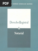 Manual de Derecho Registral y Notarial | PDF
