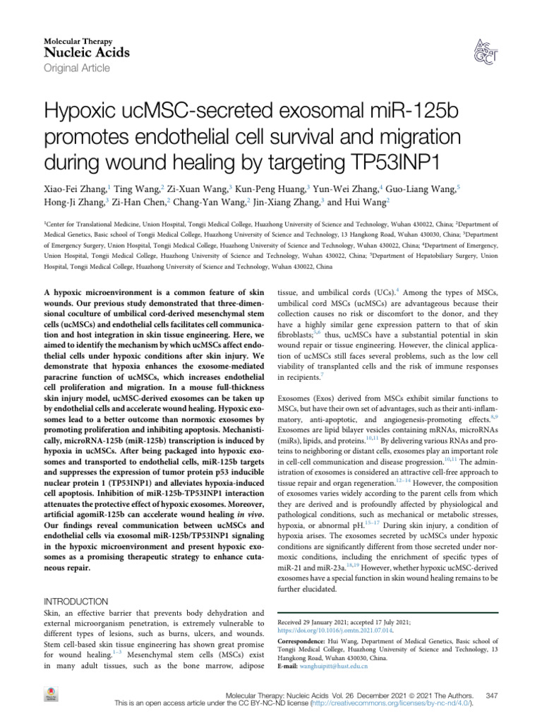 Hypoxic Exosomal miR-125b in Wound Healing | PDF | Wound Healing ...