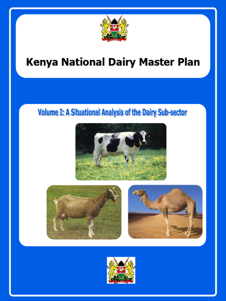 DMP-VOL-I-SITUATIONAL-ANALYSIS | PDF | Economic Growth | Strategic Planning