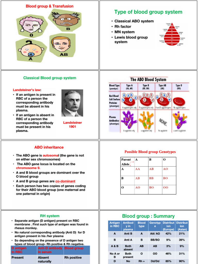 Blood Group | PDF