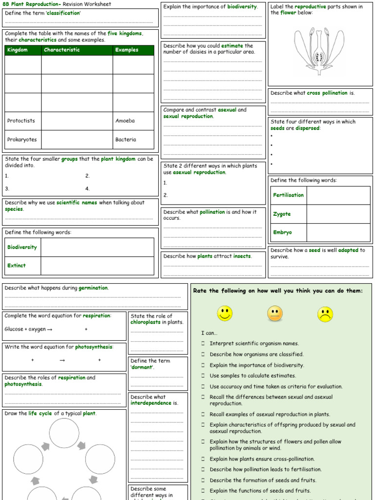 Plant Reproduction Revision Worksheet | PDF | Reproduction | Seed