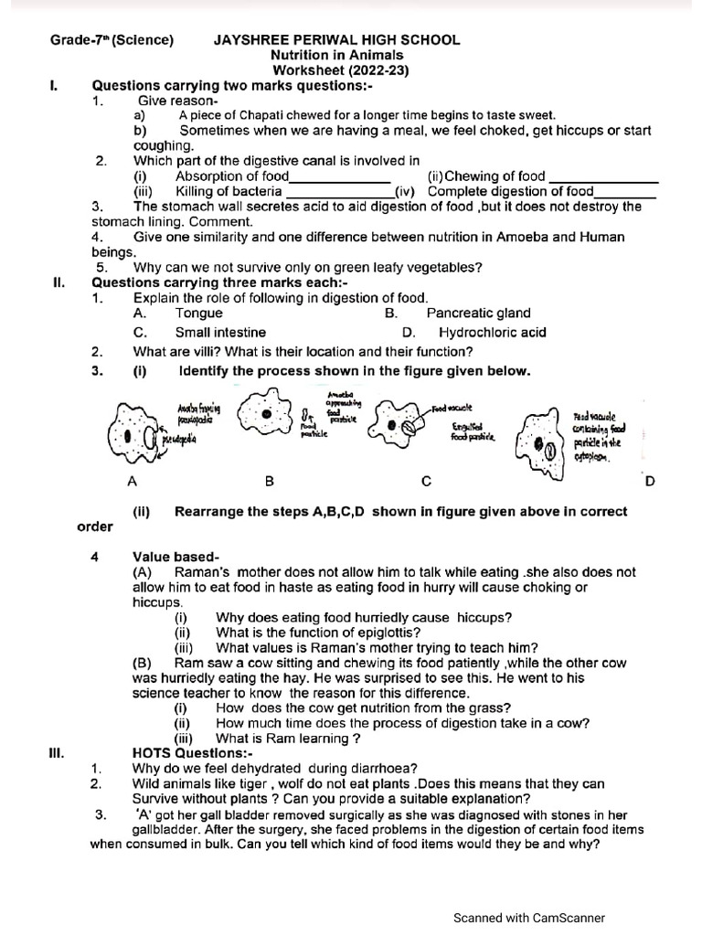 4 Nutrition in Animal Worksheet | PDF