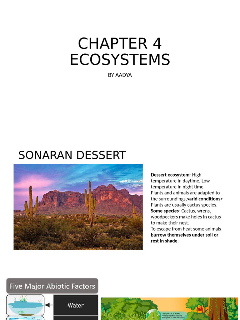 Sonoran Desert Ecosystem Overview | PDF