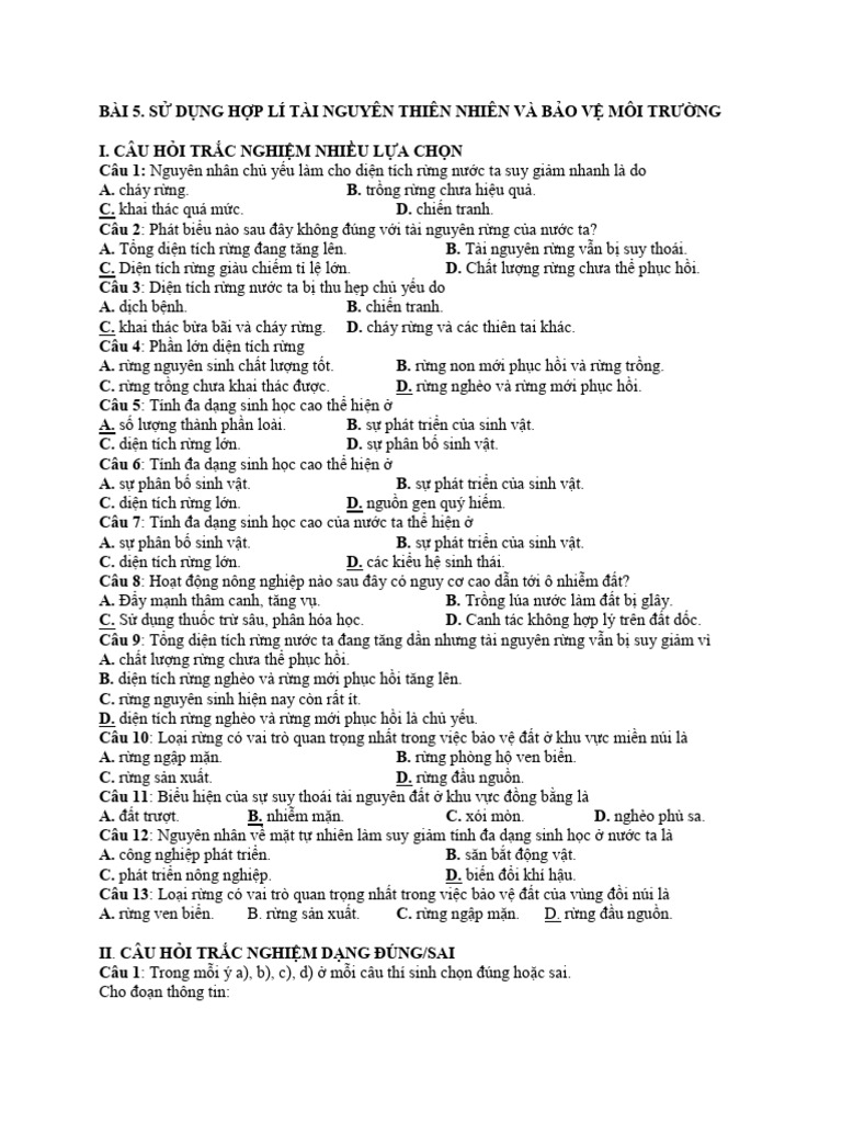 Bai-5-6-DA-chuẩn | PDF