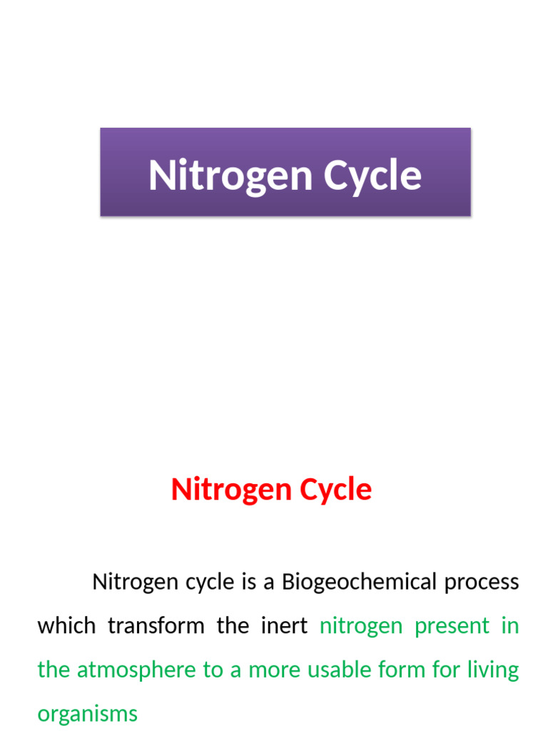 Lecture 5& 7 Nitrogen Fixation& Biochemistry, Mol Biology | PDF | Nitrate | Nitrogen