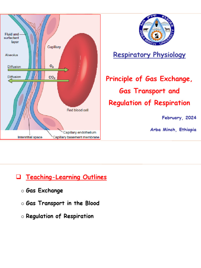 10 Physical Principles of Gas Exchange and Gas Transport and Regulation ...