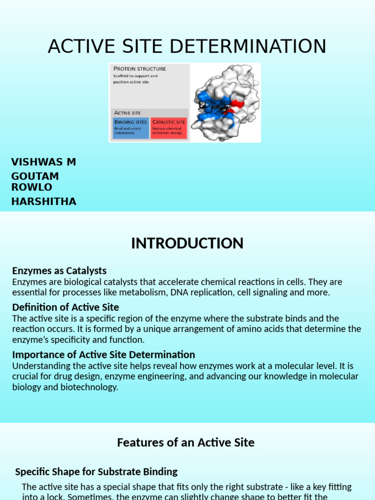 Active Site and Enzyme Specificity | PDF | Active Site | Enzyme